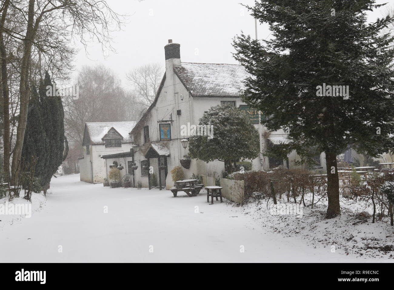 The Bush Pub Ovington Stock Photo - Alamy