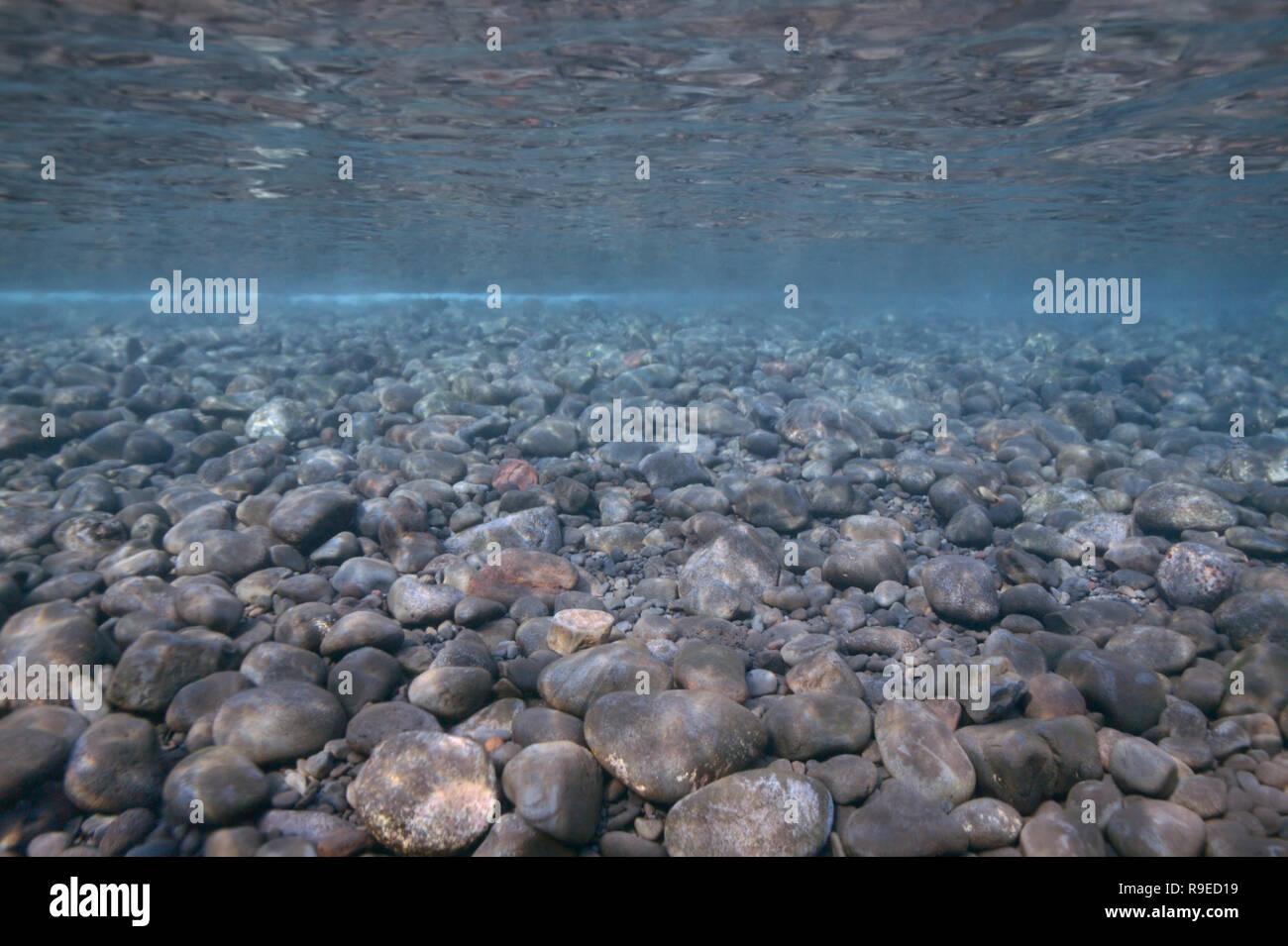 Ocean bottom hi-res stock photography and images - Alamy