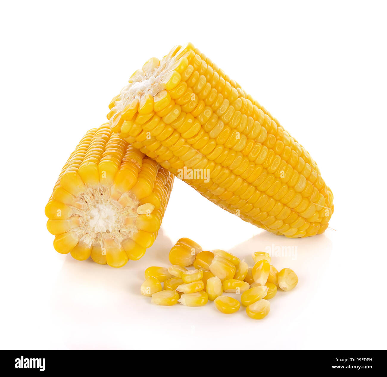 corn isolated on white background Stock Photo - Alamy