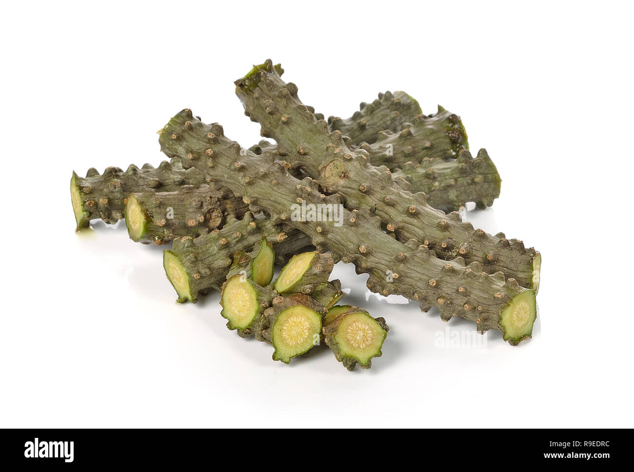 Tinospora hi-res stock photography and images - Alamy