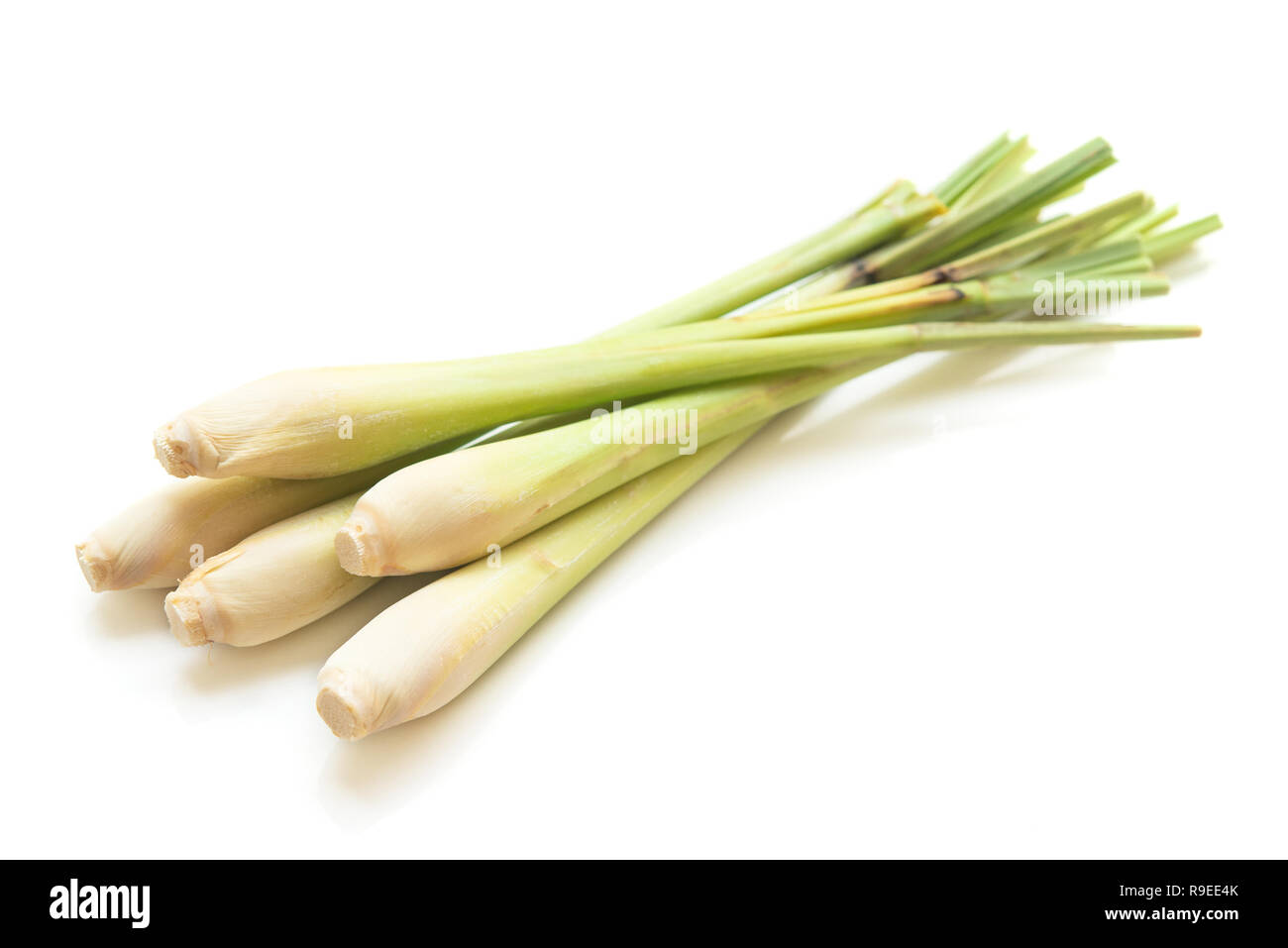 Fresh green lemongrass isolated on white background Stock Photo - Alamy