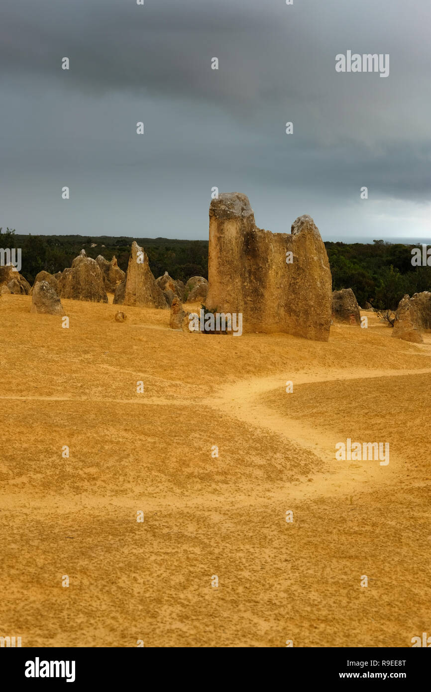 Yellow stones of Pinnacle Desert. Australia Stock Photo - Alamy