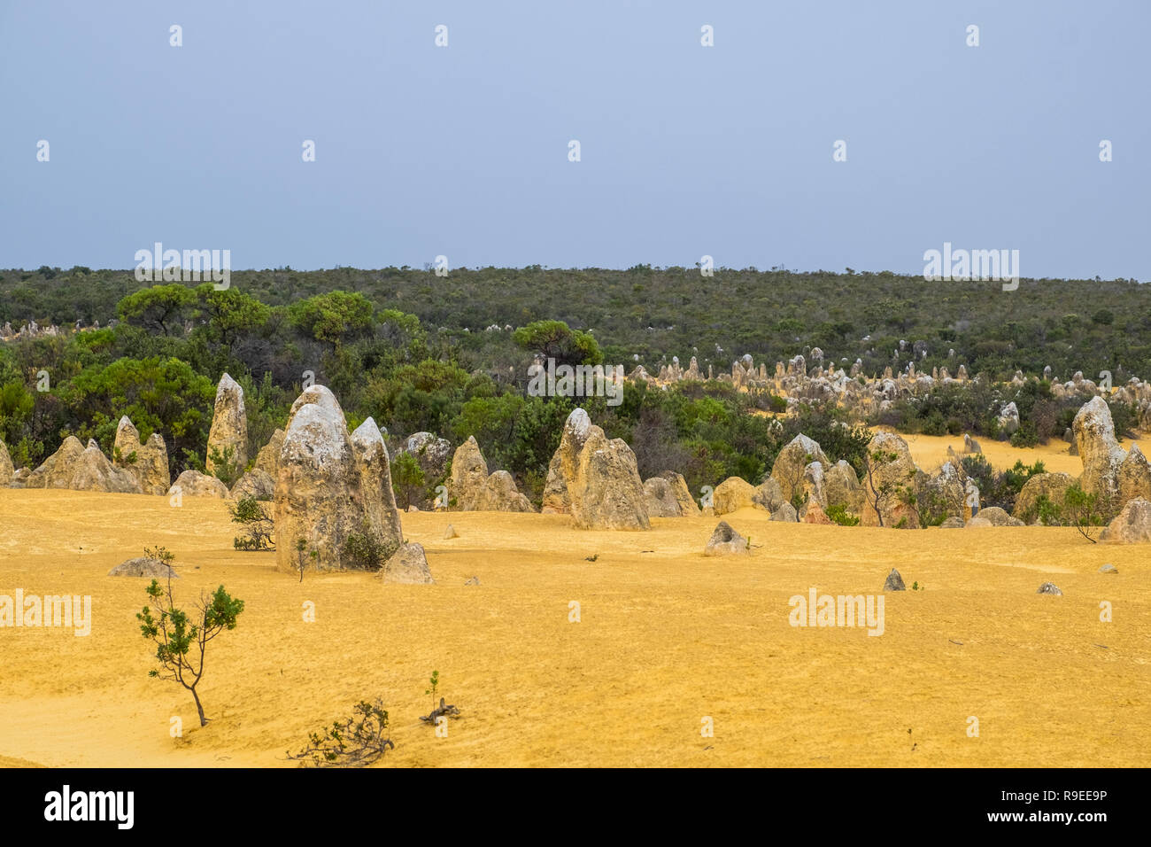 Pinnacle stones hi-res stock photography and images - Alamy