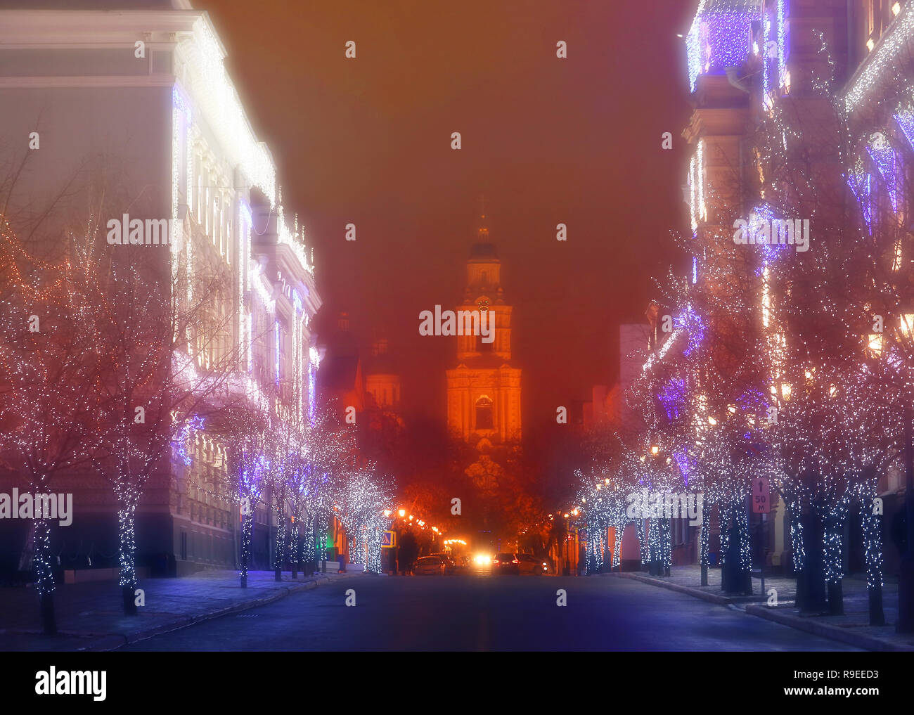 Luminous trees hi-res stock photography and images - Alamy