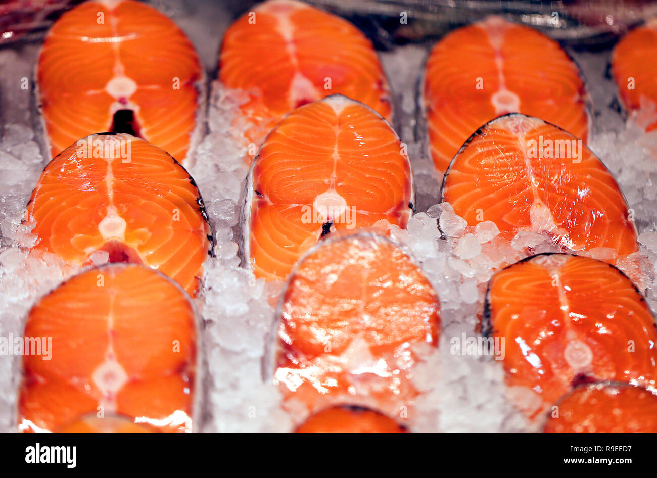Photo of beautiful red fresh tasty fish macro on shop window Stock ...