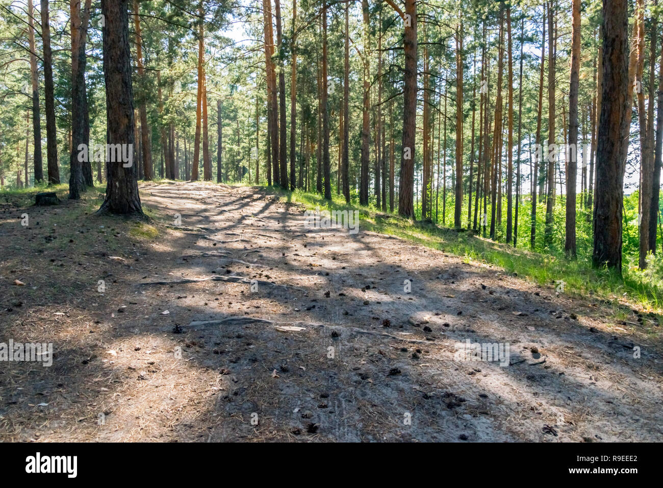 Sunny pathway hi-res stock photography and images - Alamy