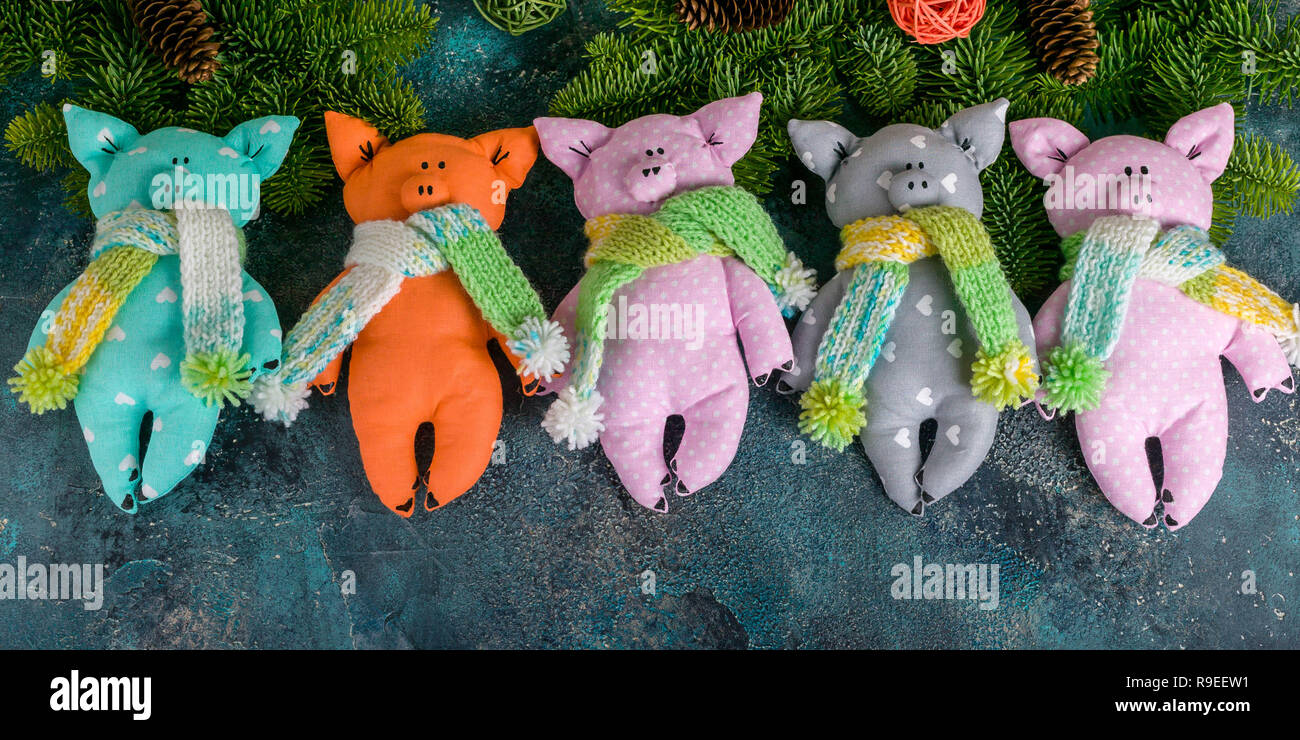 2019 year pig pigs hi-res stock photography and images - Alamy