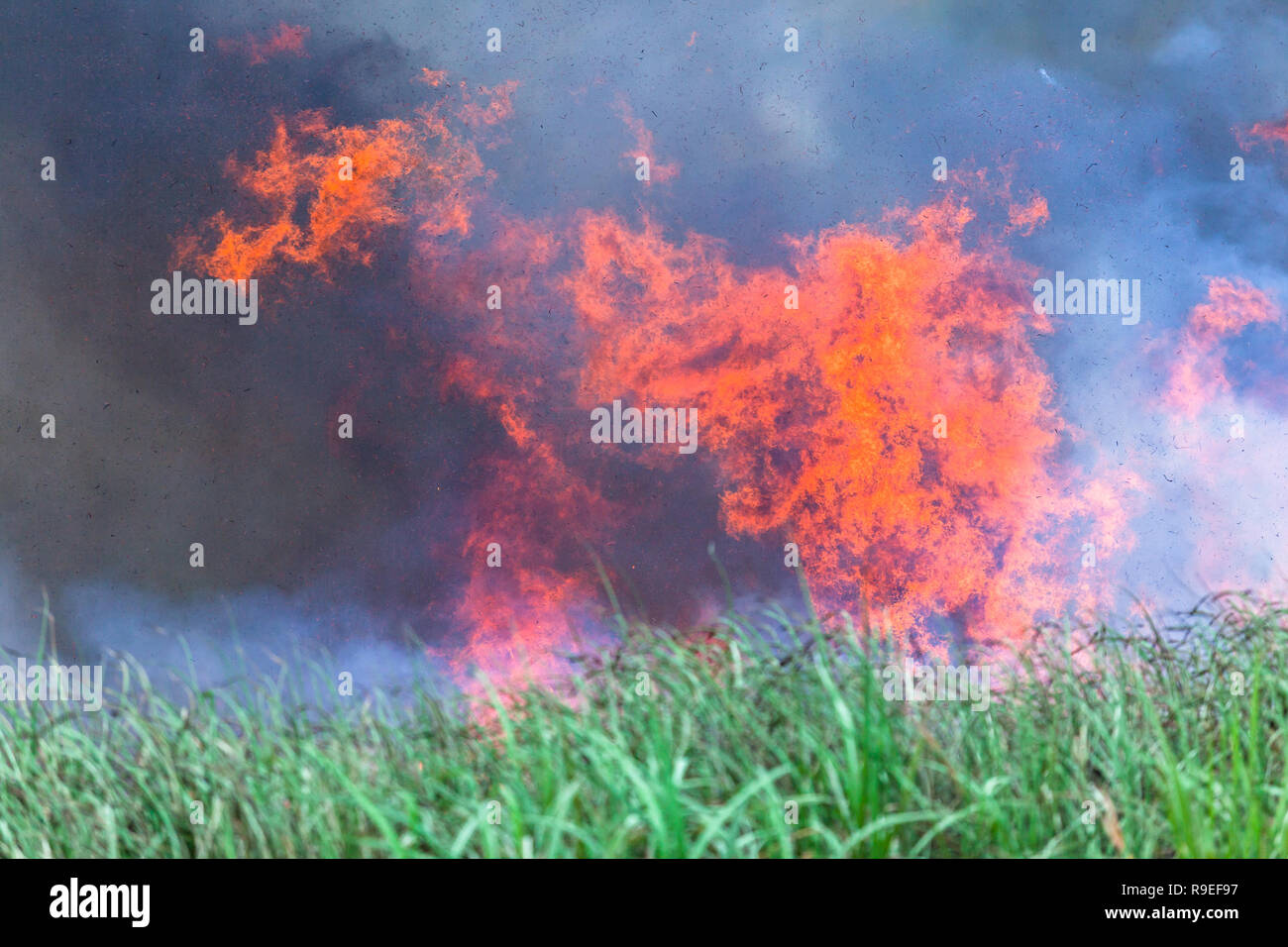 Fire flames burning blazing towards the sky with debris outdoors farm ...