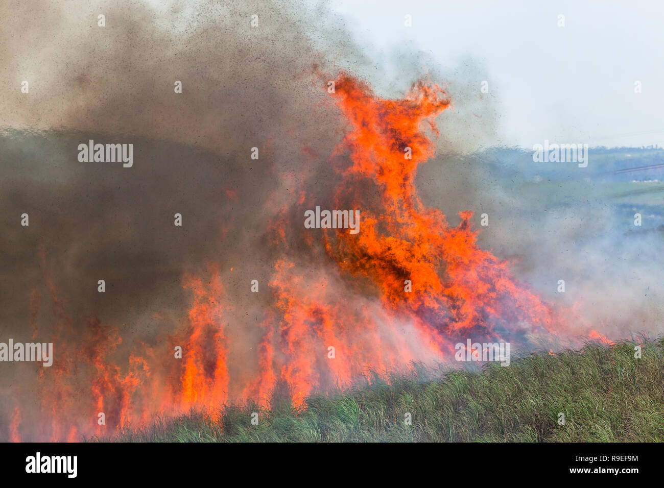 Fire flames burning blazing towards the sky with debris outdoors farm ...