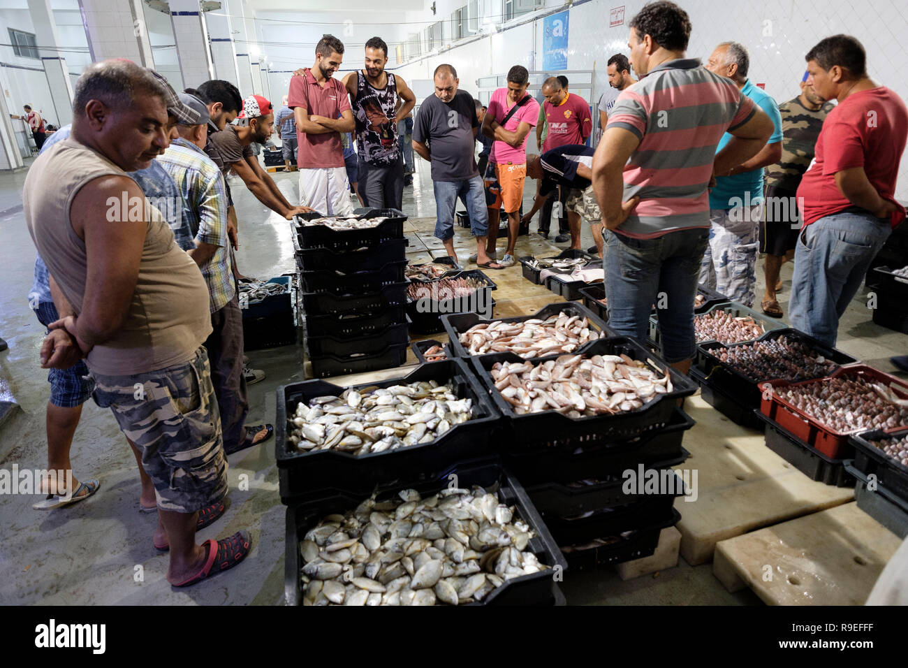 Fish unloading hi-res stock photography and images - Alamy