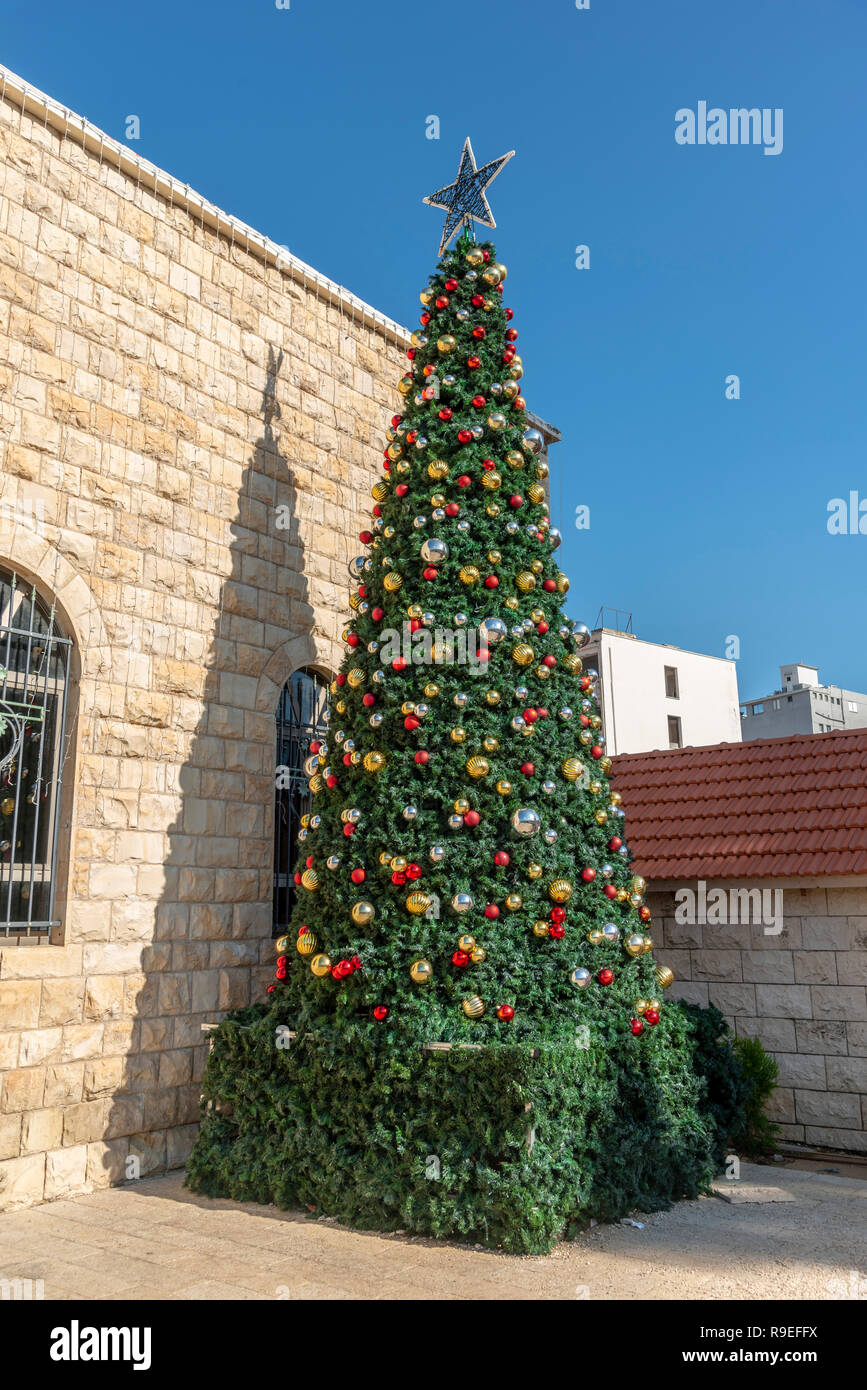 Close up branch grand hi-res stock photography and images - Alamy