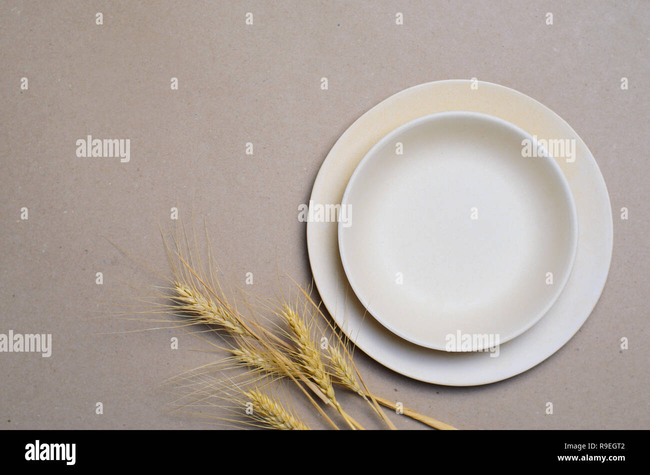 Eco Friendly Recyclable Plates, Wheat Straw Kitchenware, Top View Stock ...