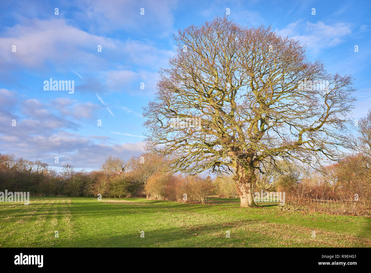 Sunshine and countryside hi-res stock photography and images - Alamy