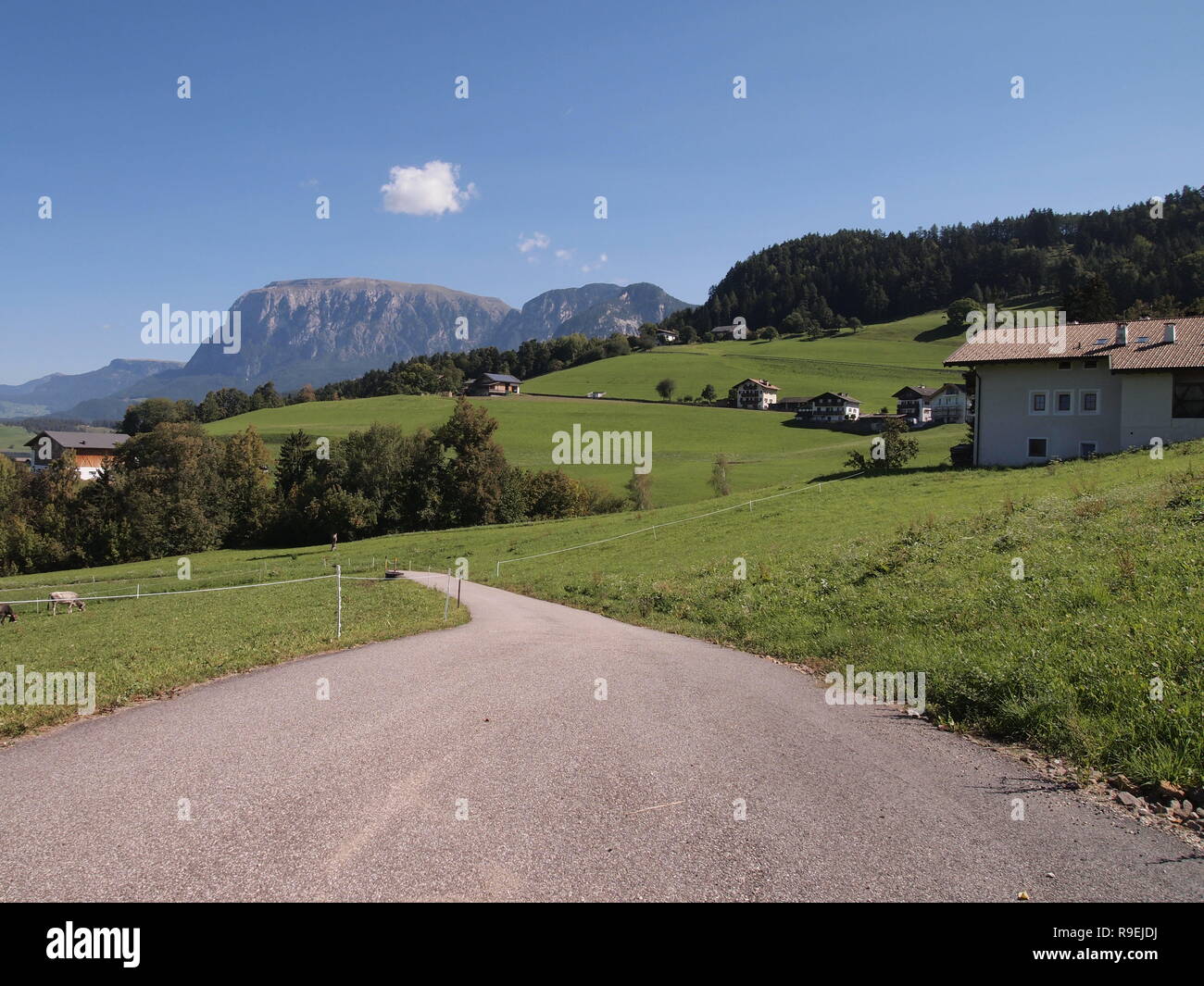 country road at the Italian alps Stock Photo - Alamy