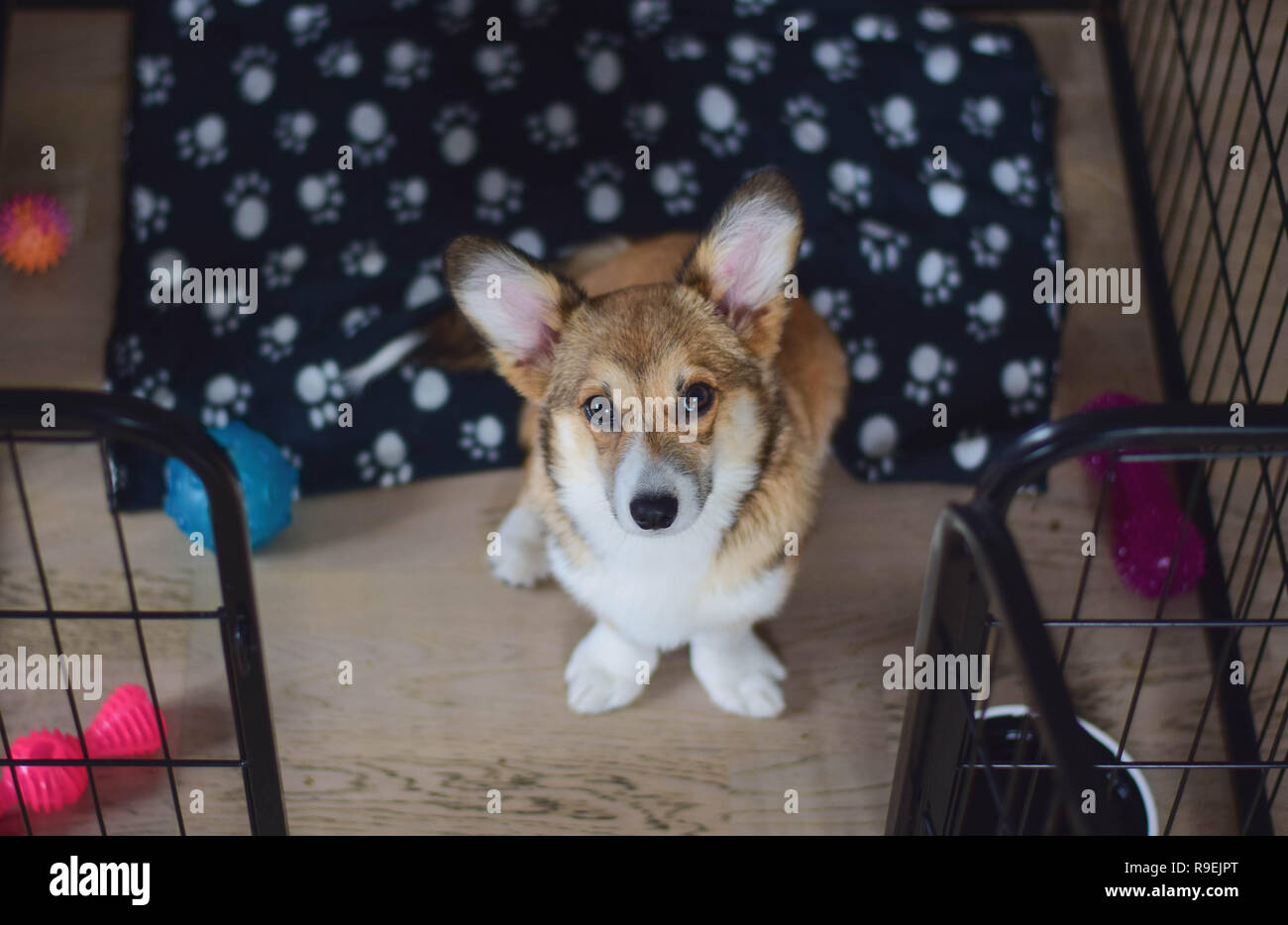 Sitting in crate hi-res stock photography and images - Alamy
