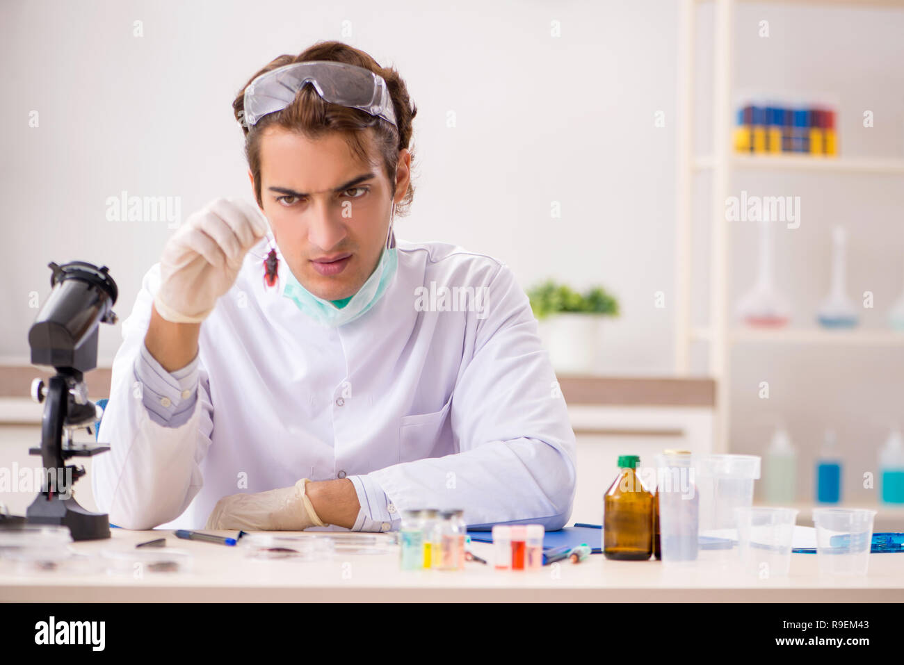 Male entomologist working in the lab on new species Stock Photo - Alamy