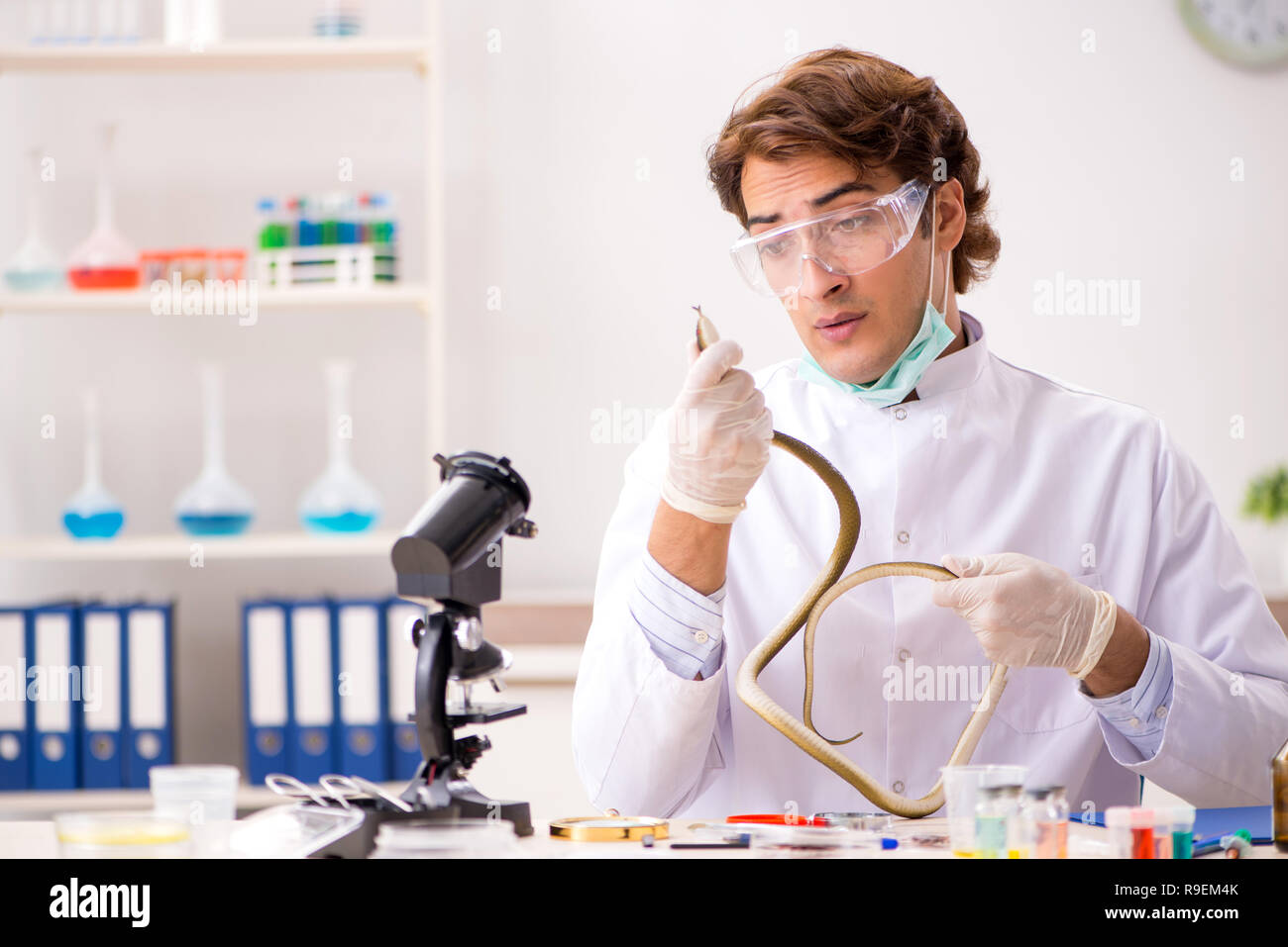 Male scientist extracting poison from snake for drug synthesis Stock ...