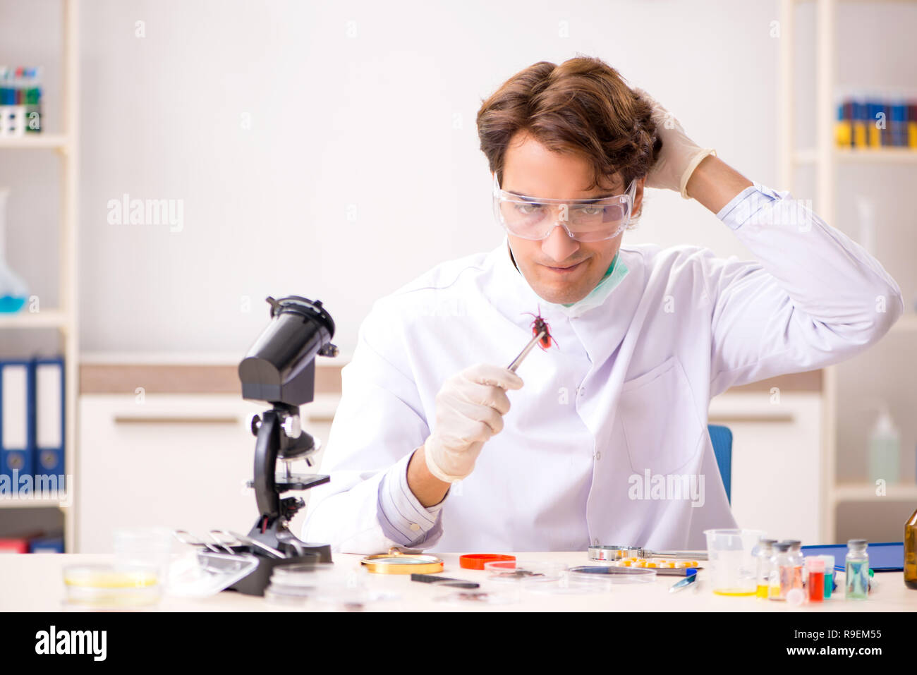 Male entomologist working in the lab on new species Stock Photo - Alamy