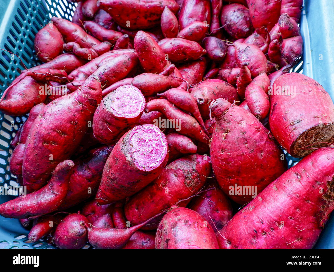 Purple Yam Stock Photos & Purple Yam Stock Images - Alamy