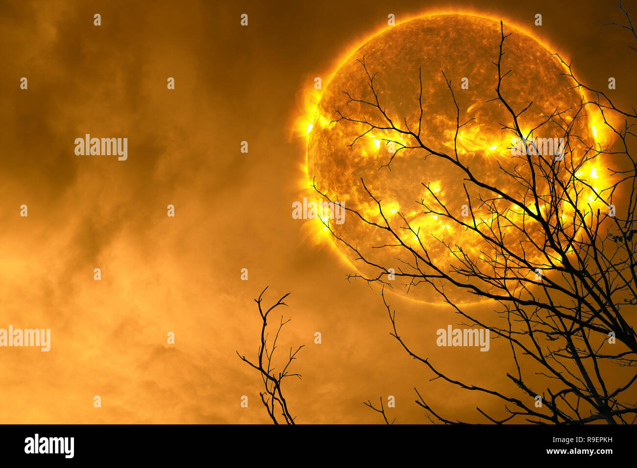 halloween sun back silhouette tree and night sky, Elements of this ...