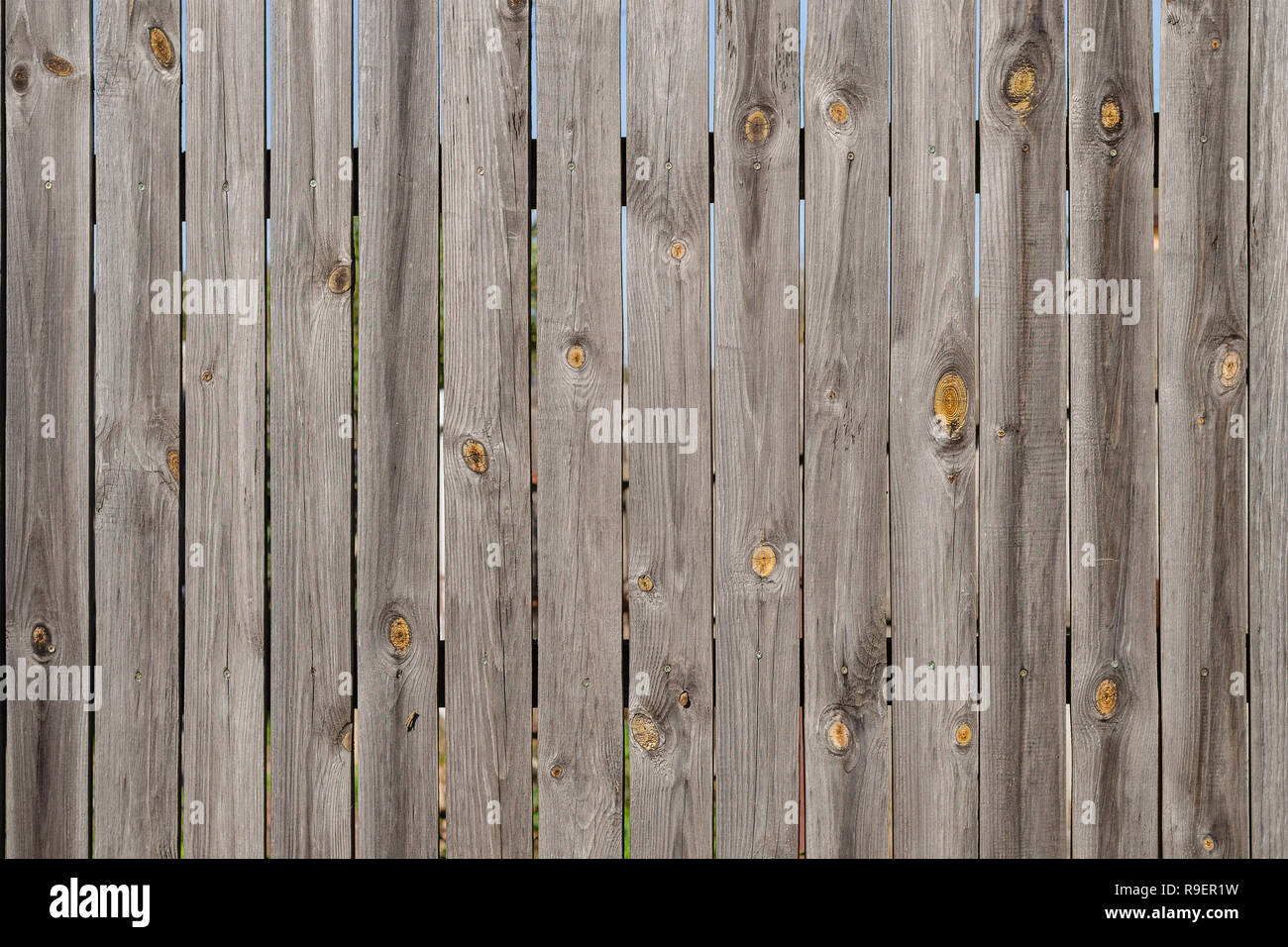 Texture of the fence made from vertical boards. Can be used as ...