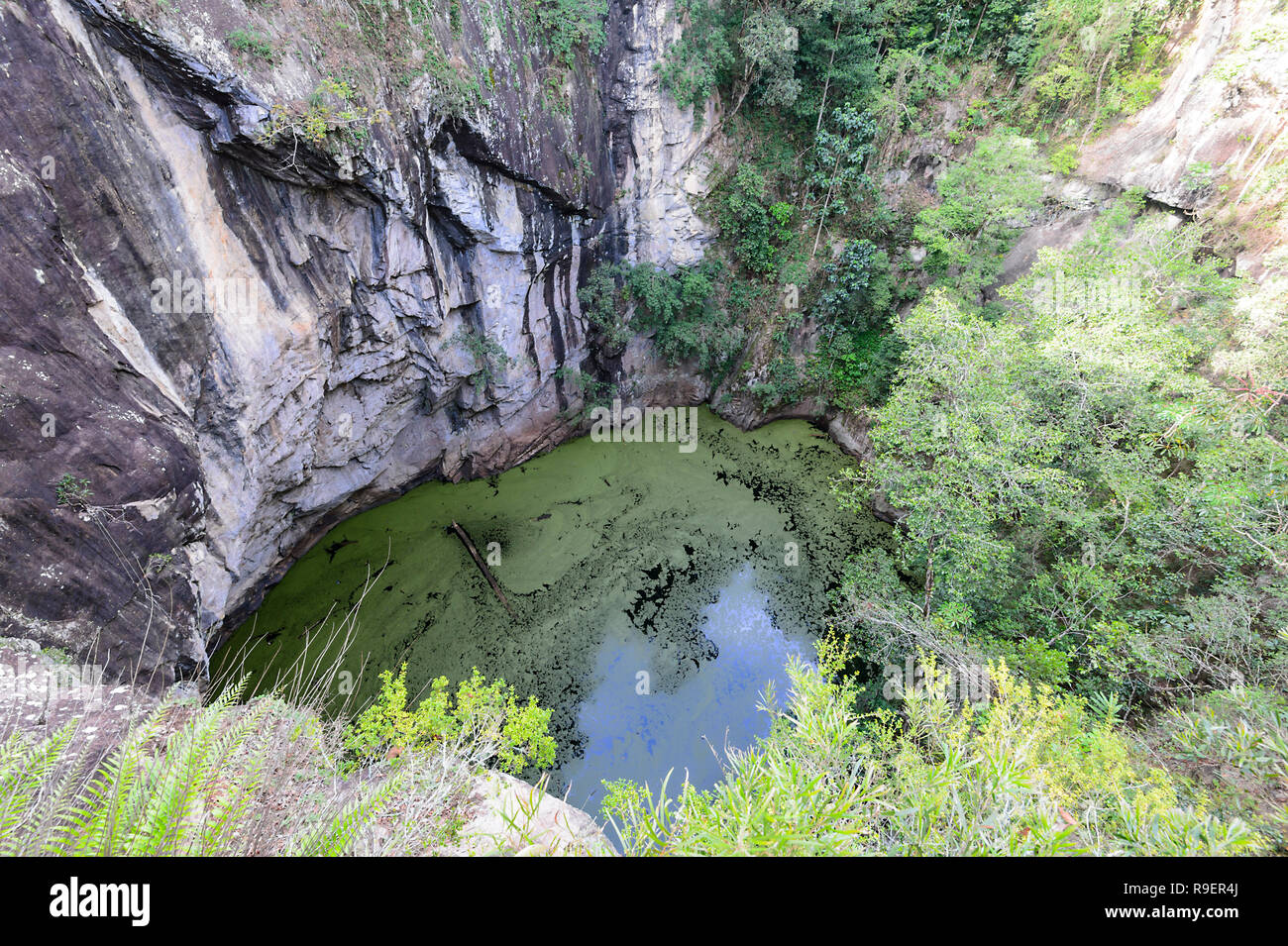 The Crater is a diatreme in Hypipamee National Park, Atherton Tableland ...