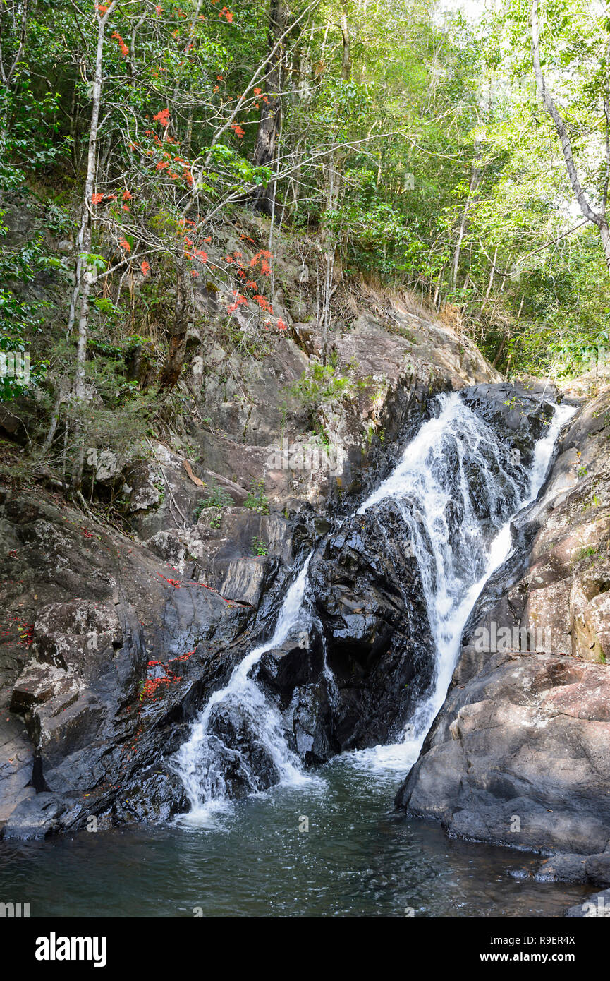 Barron River Queensland High Resolution Stock Photography and Images ...