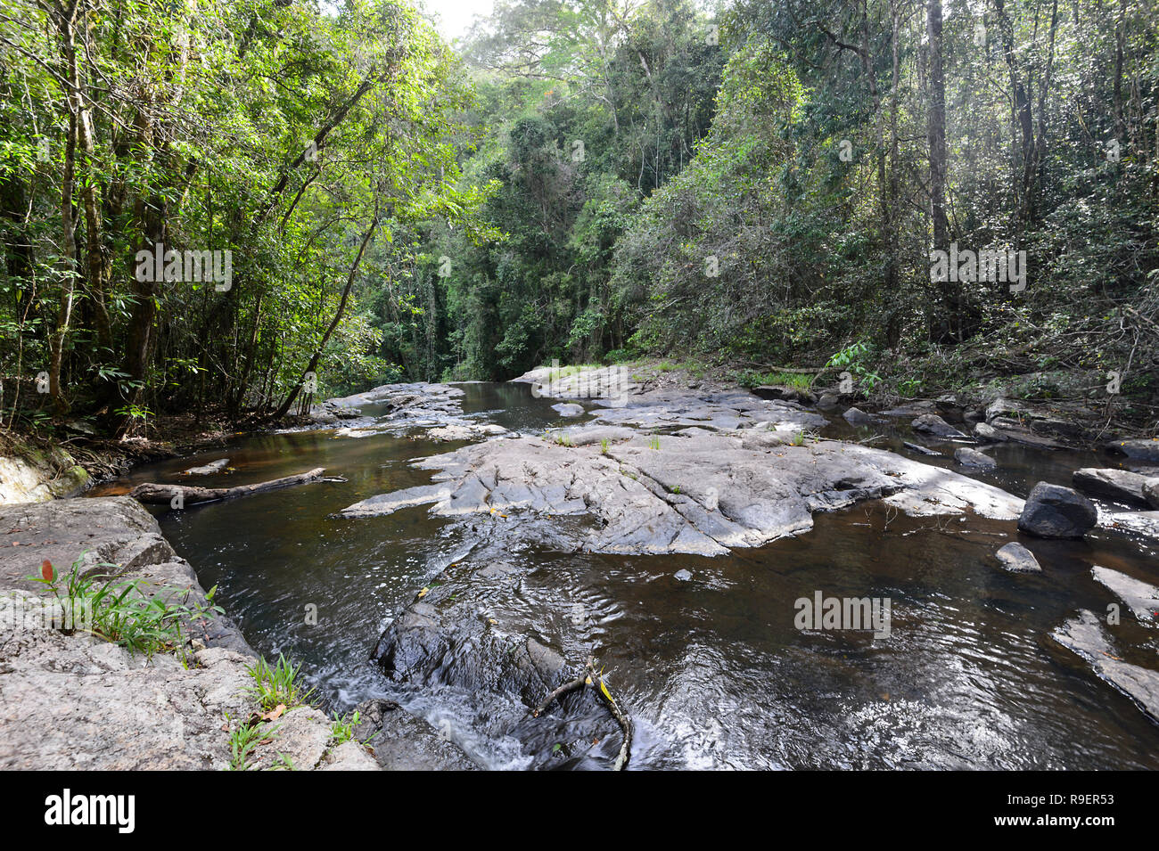 Dinner Falls are the upper part of the Barron River, Hypipamee National ...