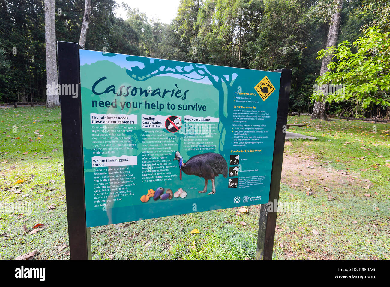 Cassowary birds warning sign hi-res stock photography and images - Alamy