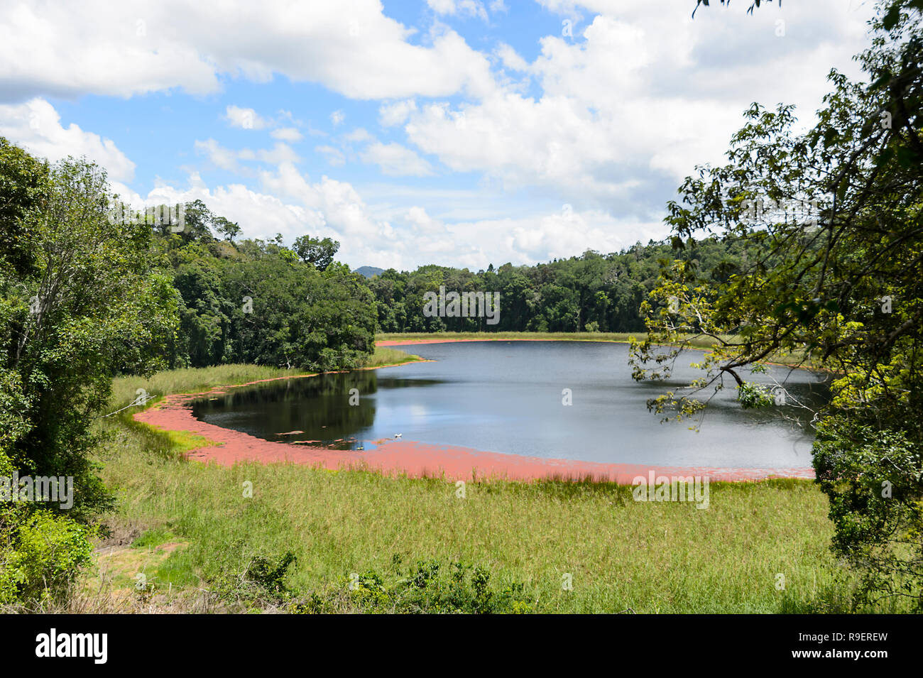 Lake Euramoo near Lake Tinaroo is a crater lake with toxic red algae ...