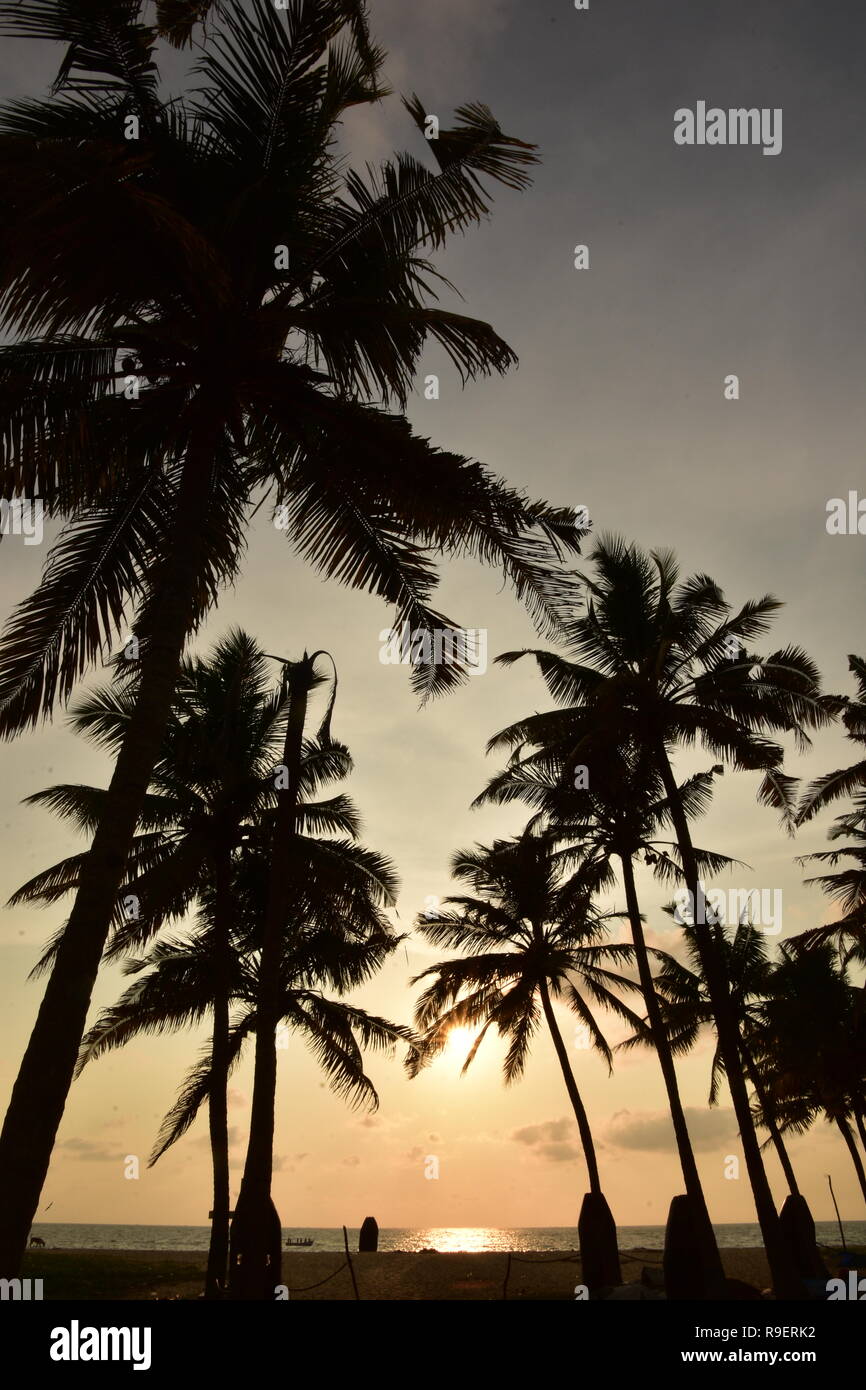 Marari sea beach, Alleppey, Kerala, India Stock Photo - Alamy