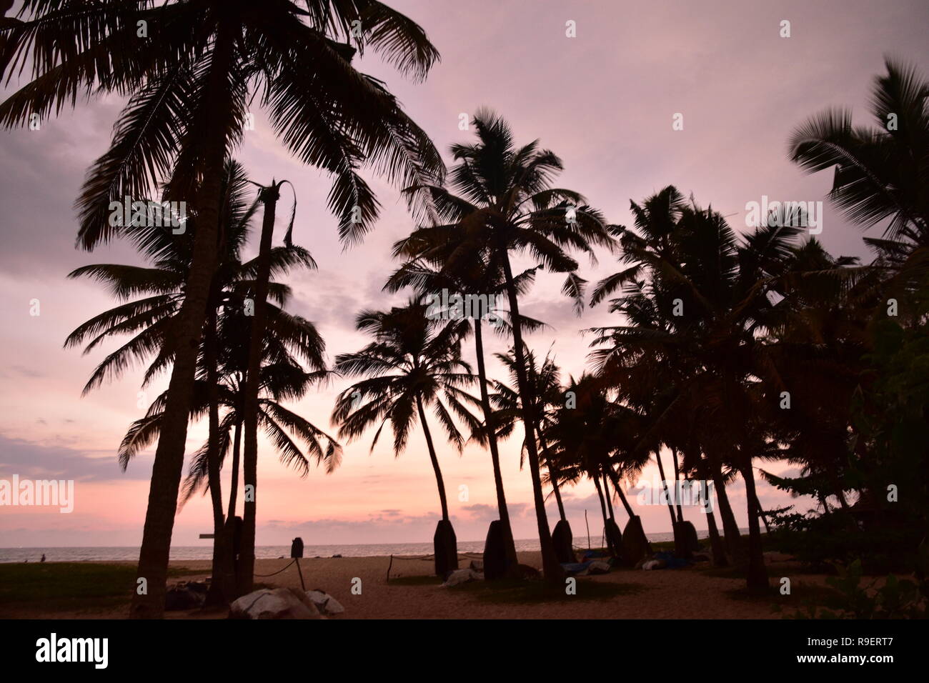 Marari sea beach, Alleppey, Kerala, India Stock Photo - Alamy