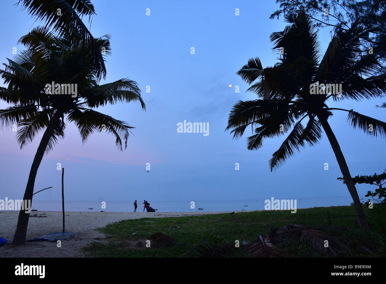 Marari sea beach, Alleppey, Kerala, India Stock Photo - Alamy