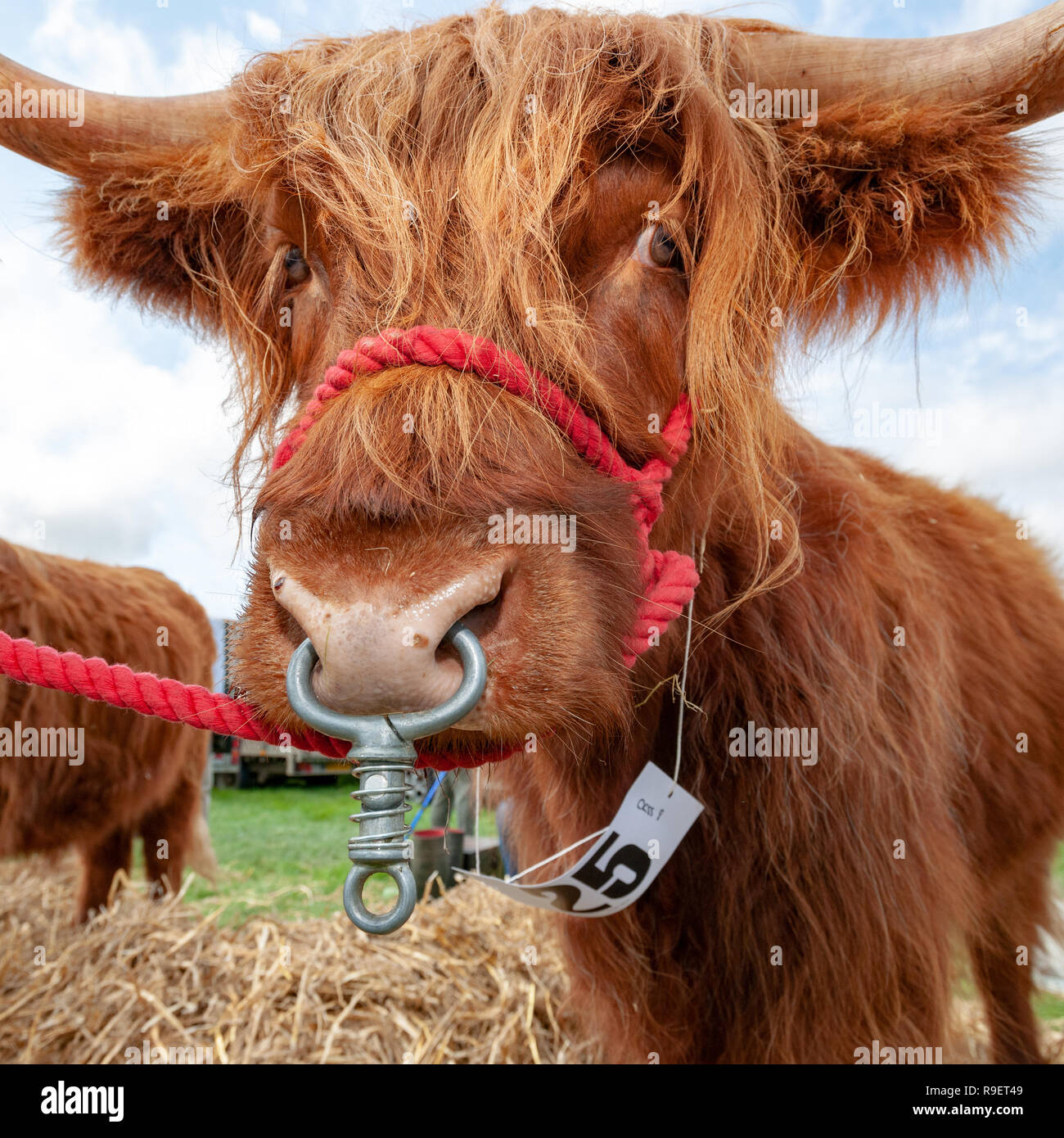 Full format photo hi-res stock photography and images - Alamy