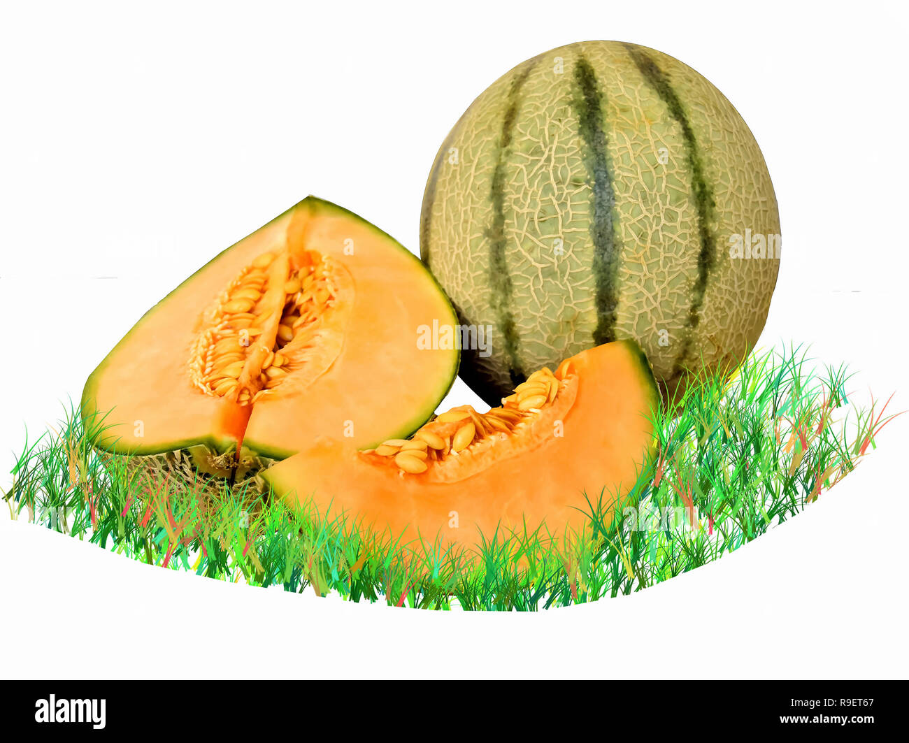 Whole half sliced melon Cut Out Stock Images & Pictures - Alamy