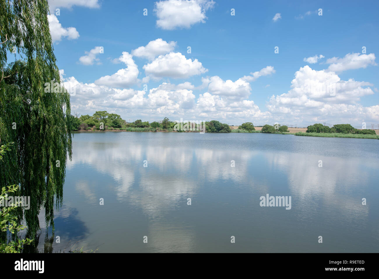 Rietvlei nature reserve hi-res stock photography and images - Alamy