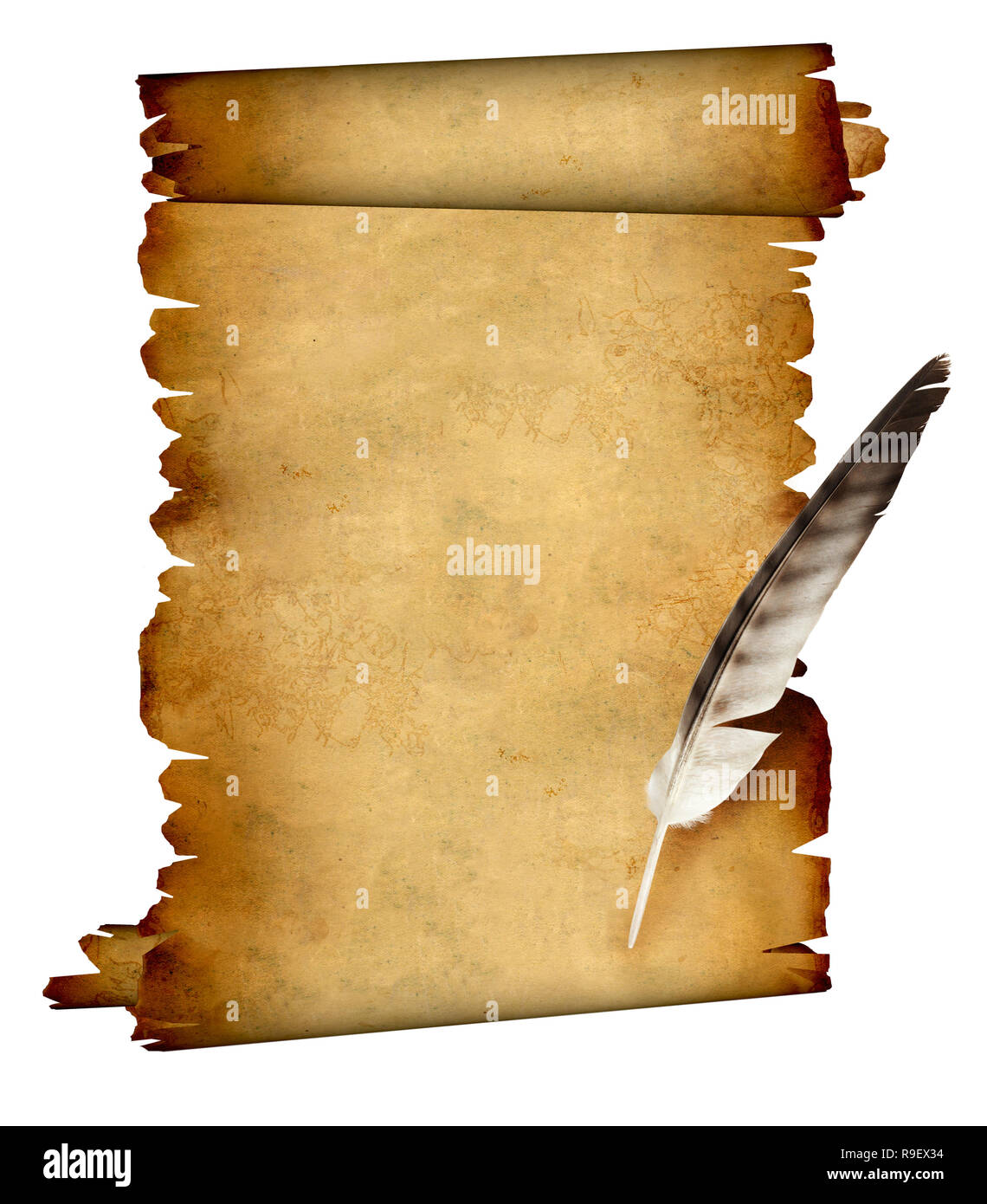 Medieval parchment paper feather hi-res stock photography and images ...