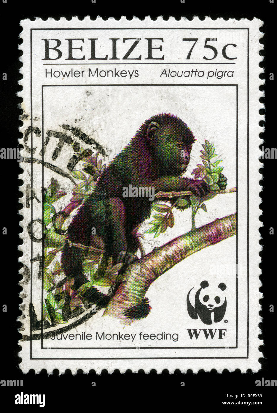 Postage stamp from Belize in the WWF – Howler monkeys series issued in ...