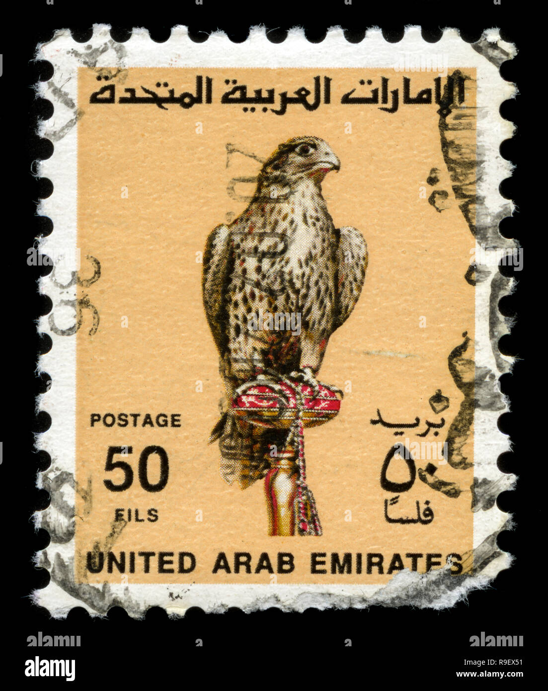 Postage stamp from the United Arab Emirates in the Gyrfalcon series ...