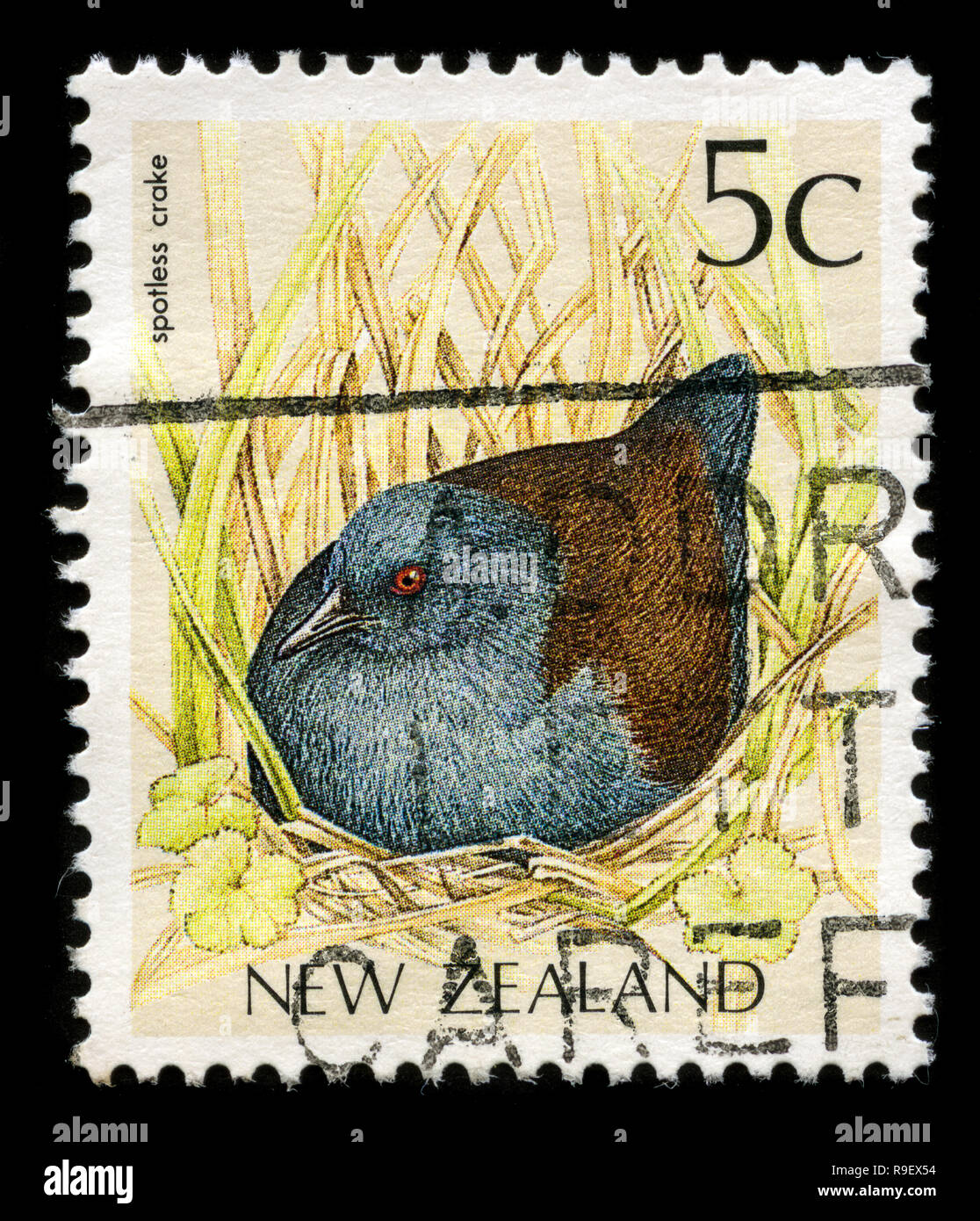 Postage stamp from New Zealand in the Birds series issued in 1991 Stock ...