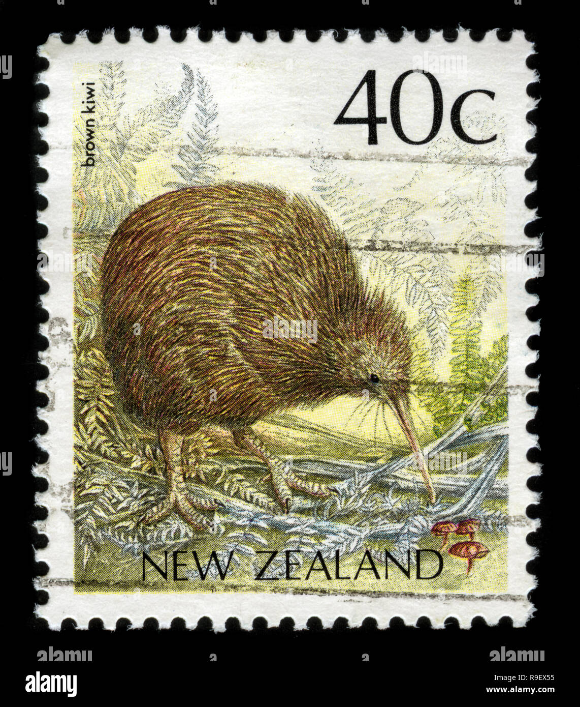 Postage stamp from New Zealand in the Birds series issued in 1988 Stock ...