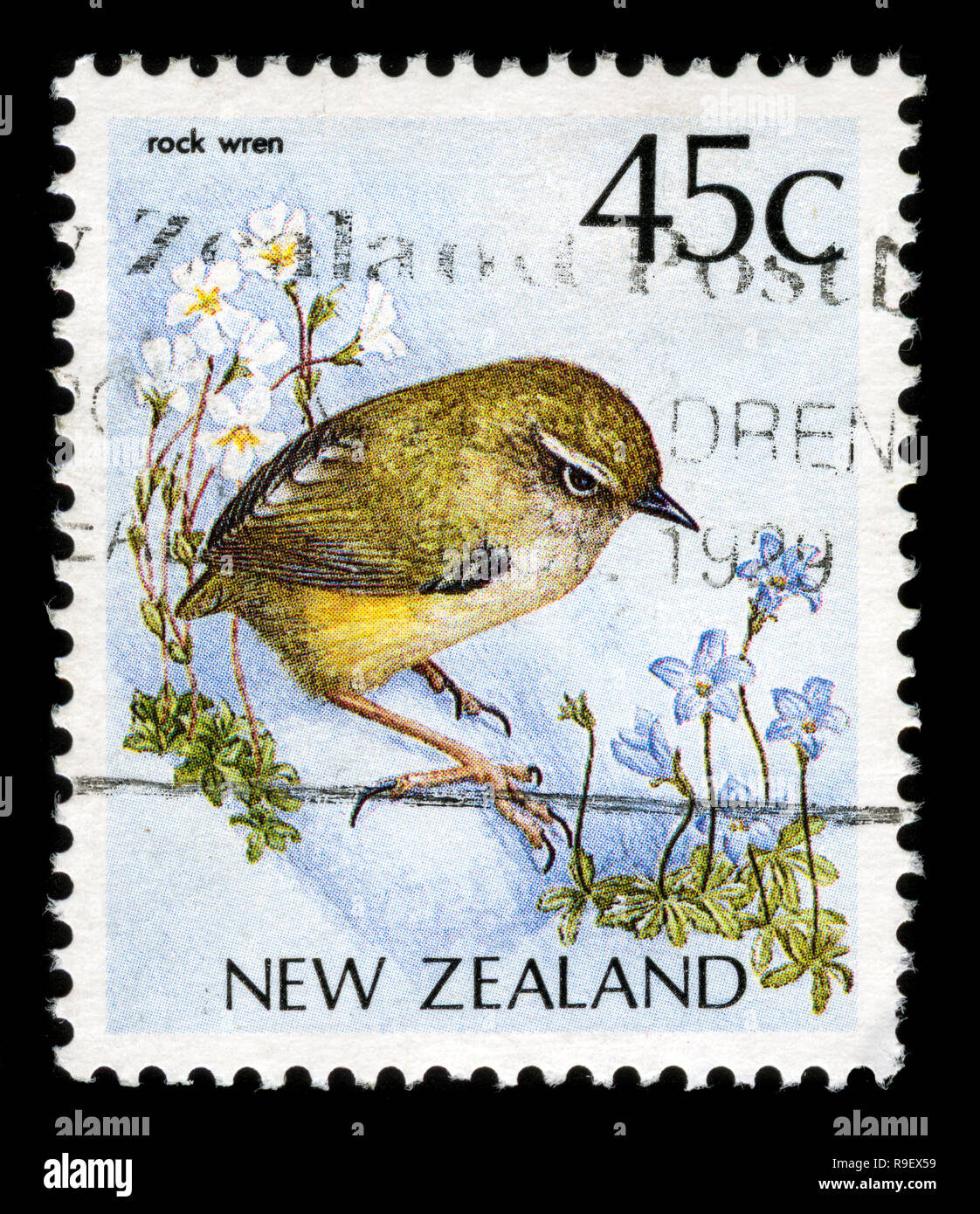 Wellington new zealand birds hi-res stock photography and images - Alamy