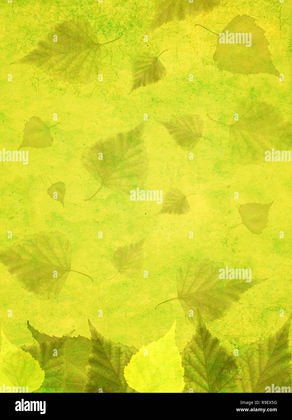 Grunge background with spring leaves Stock Photo - Alamy