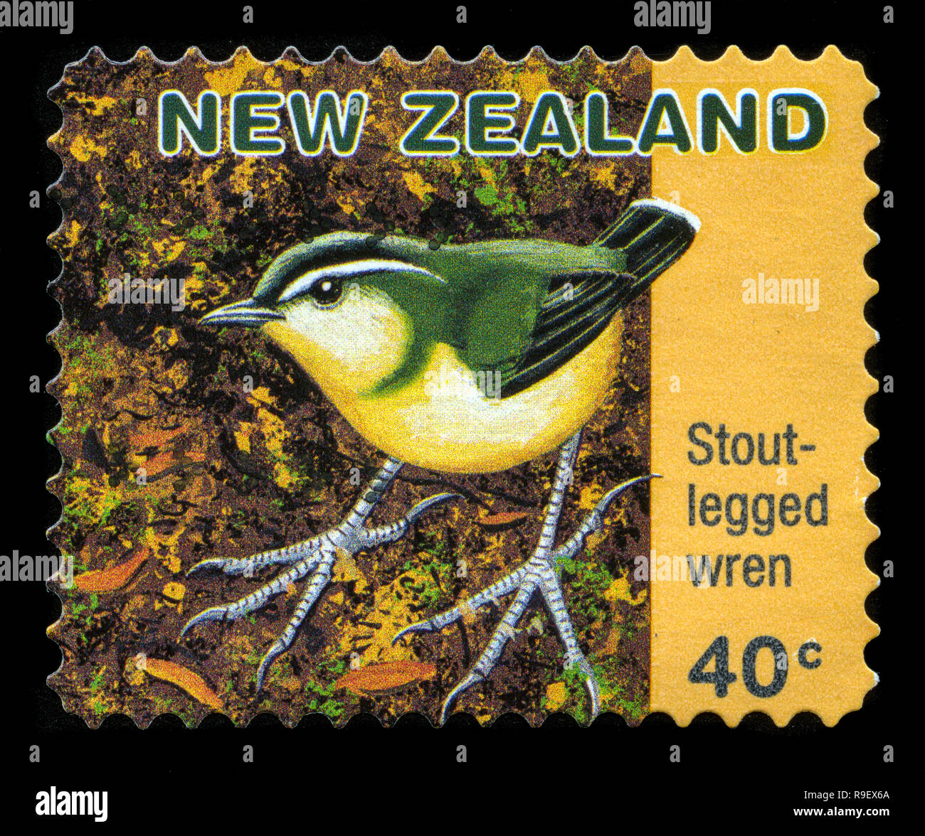 Postage stamp from New Zealand in the Extinct Birds series issued in ...