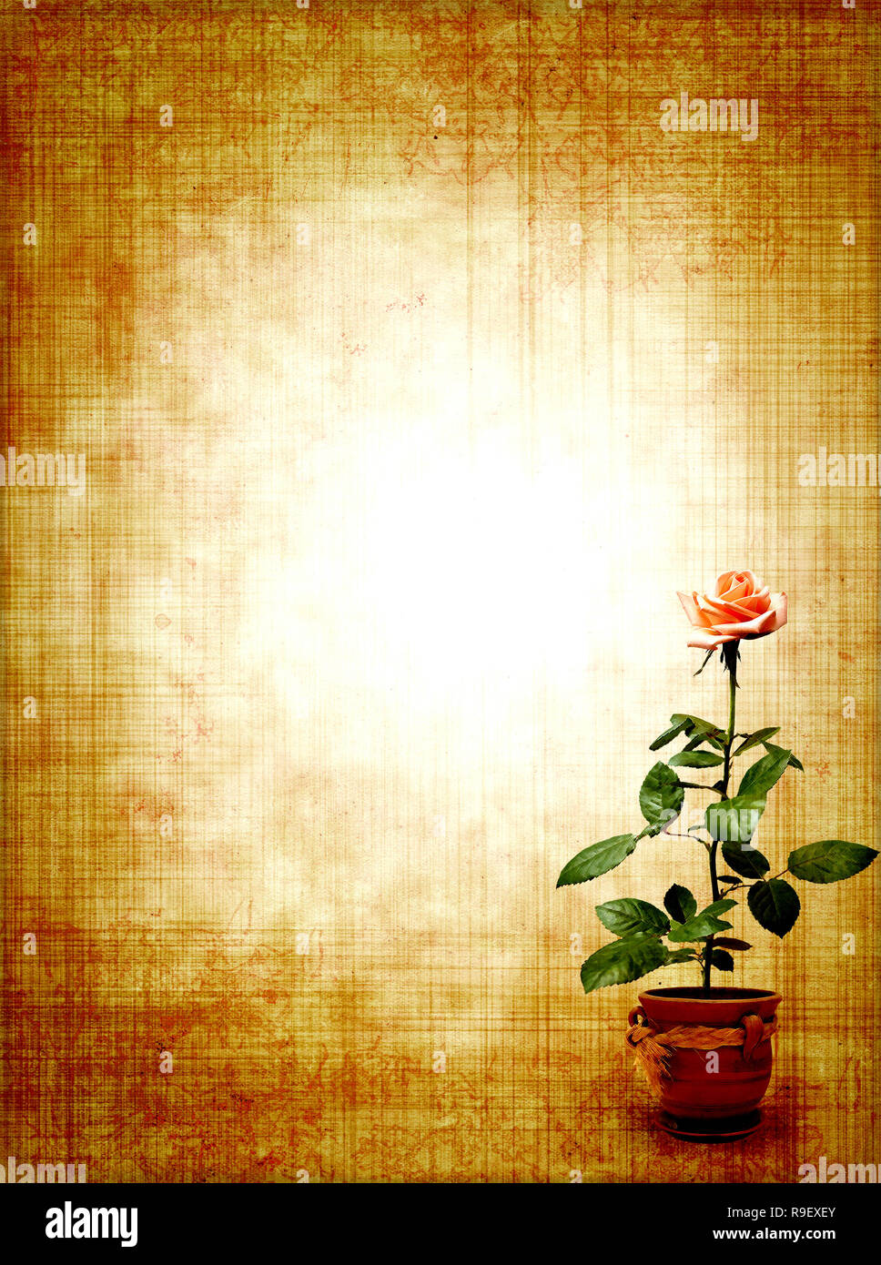 Vintage grunge background with rose. Paper texture Stock Photo - Alamy