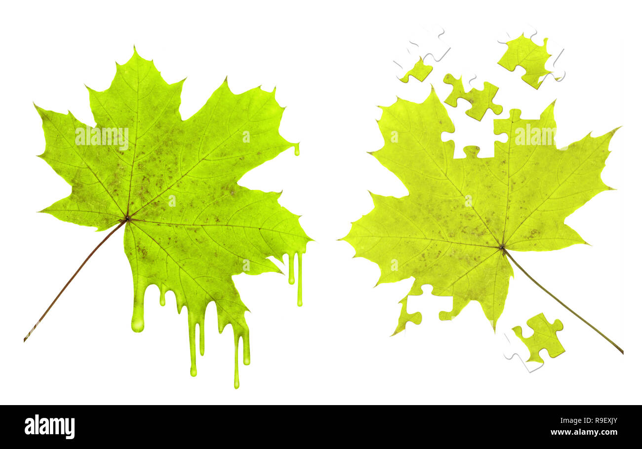 Droplets in nature Cut Out Stock Images & Pictures - Alamy