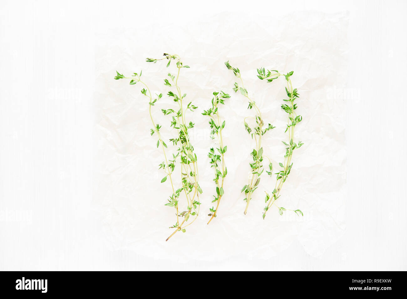 Top view of thyme branches on white bake paper background Stock Photo ...