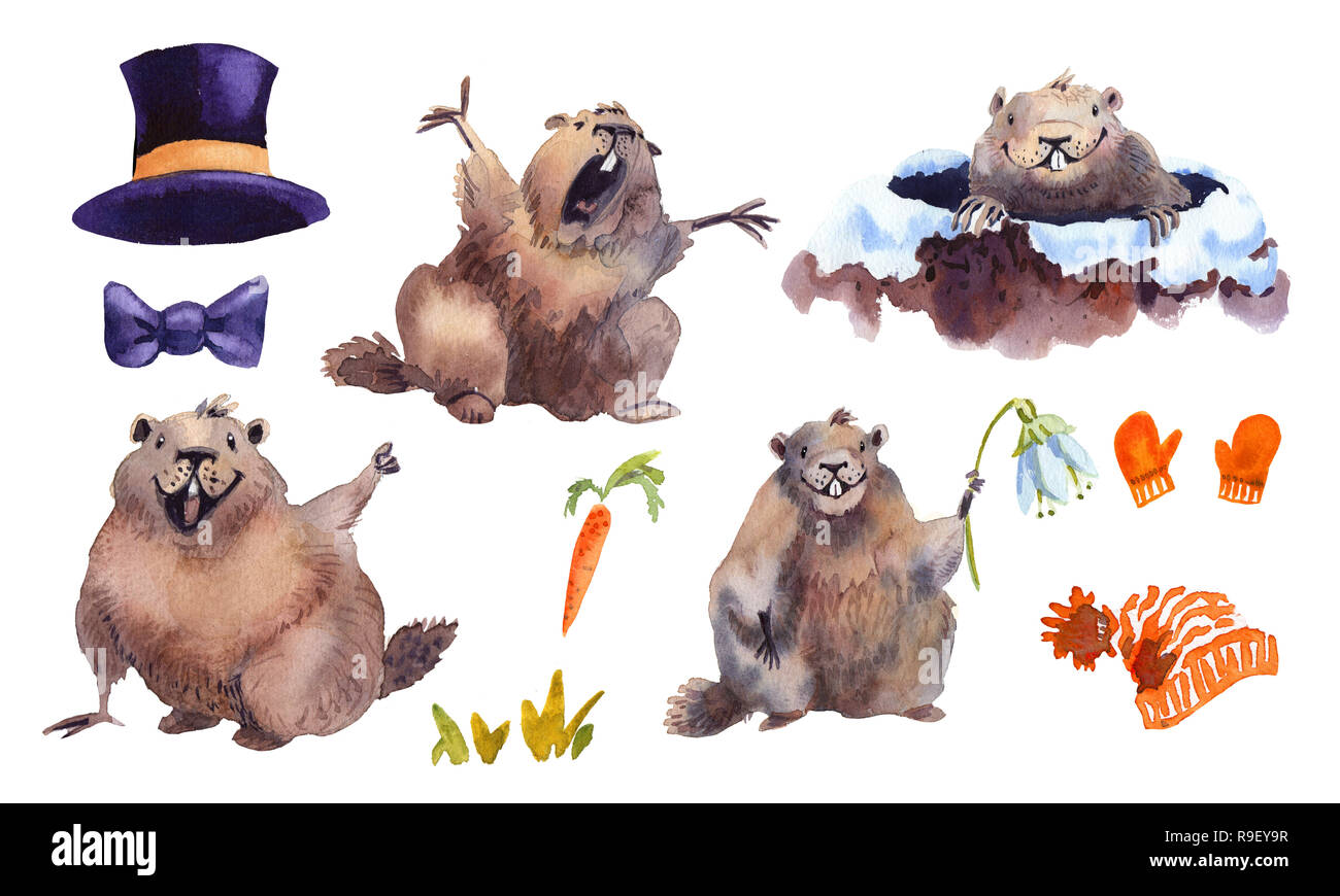 Happy Groundhog Day - hand drawn watercolor collection illustrations ...