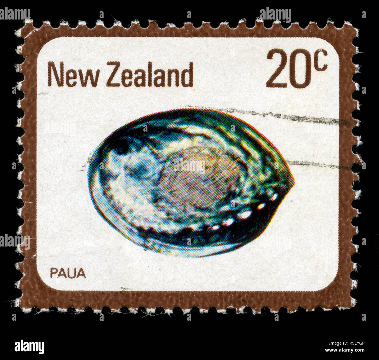 Postage stamp from New Zealand in the Shells and Snails series issued ...