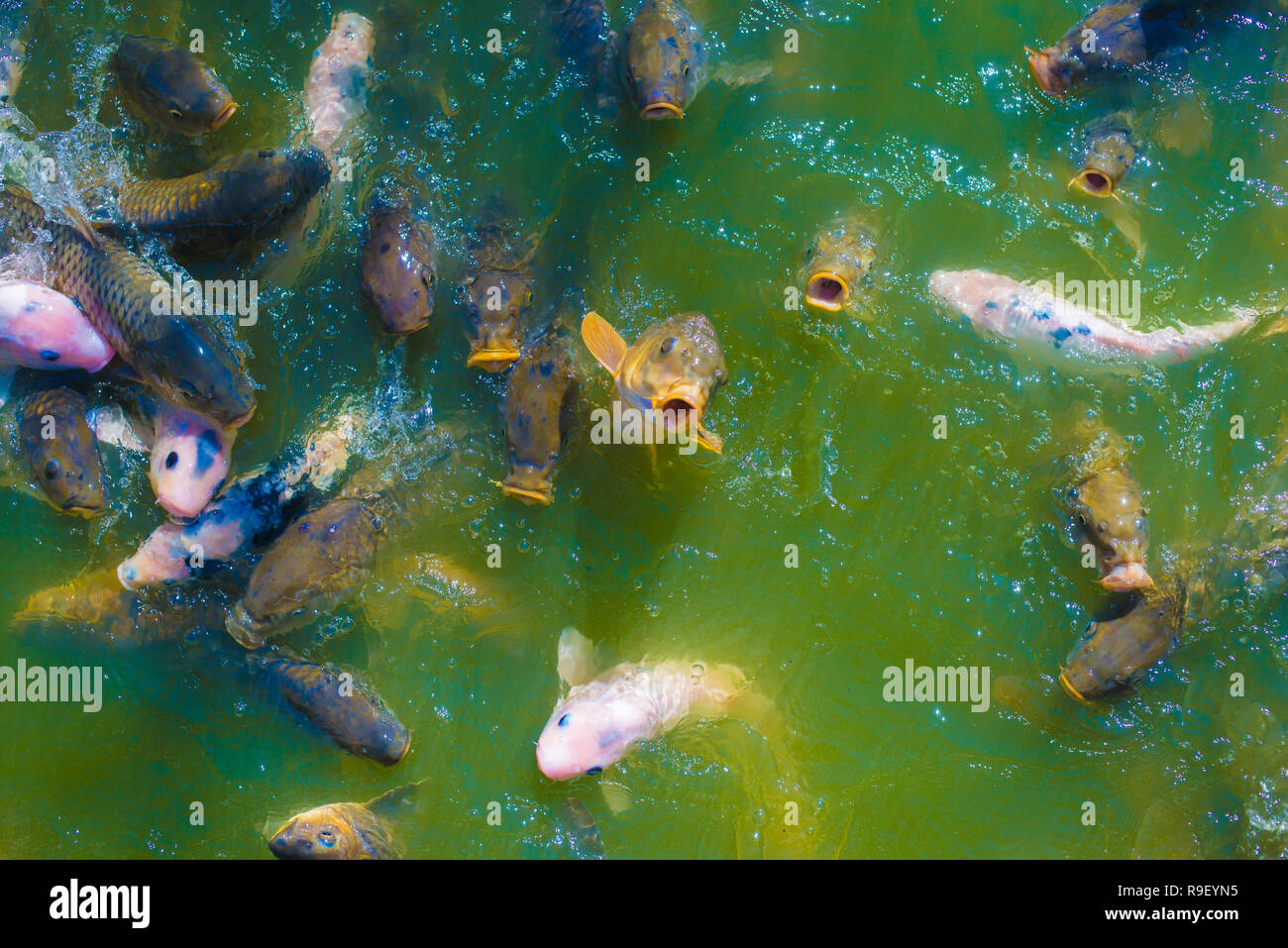 Ippuku museum in Toyama, Japan. Japan Alps is located between Nagano ...